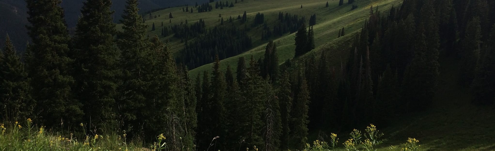 The Grand Traverse Trail: 50 Reviews, Map - Colorado | AllTrails