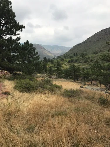 Best Hikes and Trails in Hall Ranch Open Space | AllTrails