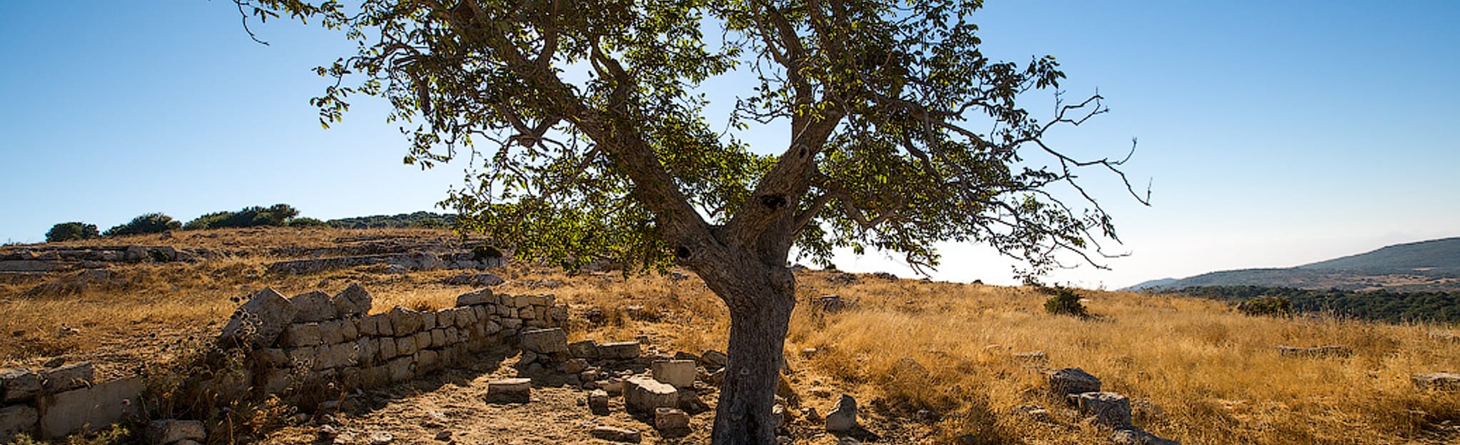 Beit Jann to Mount Meron via Mount Hesed, Northern District HaZafon ...