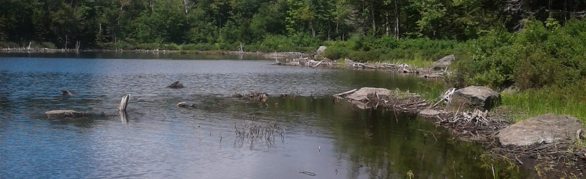 Chapin Pond: 35 Reviews, Map - New Hampshire | AllTrails