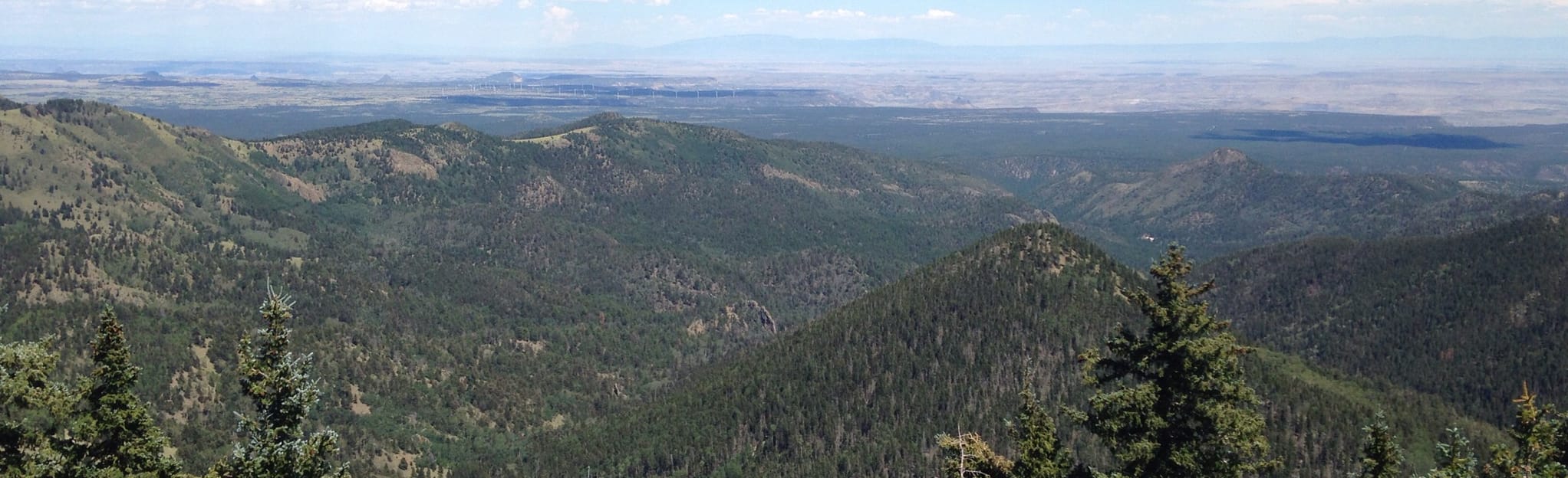 Mount Taylor via Gooseberry Trail: 334 Reviews, Map - New Mexico ...