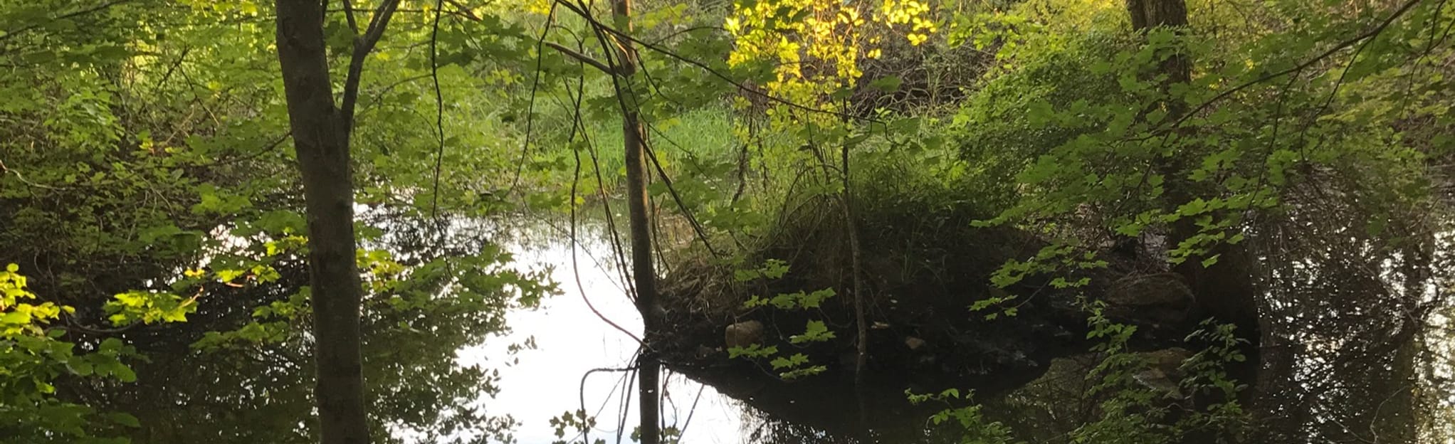 Beaver Brook North Reservation, Massachusetts - 700 Reviews, Map ...