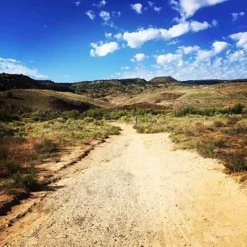 10 Best Mountain Biking Trails in Grand Junction | AllTrails