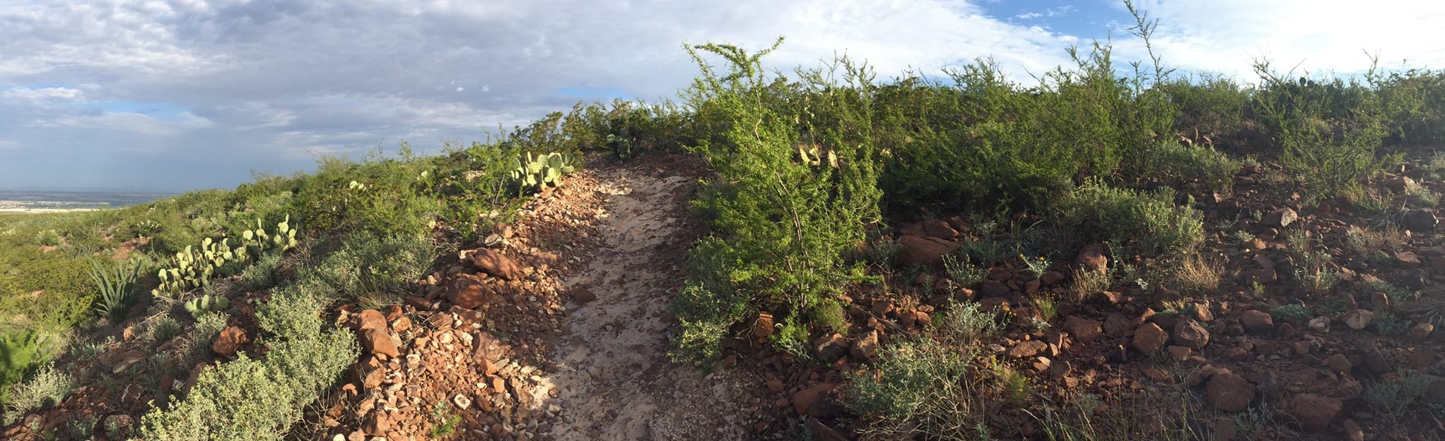 Gilbert's Trail (The Southside) | Map, Guide - Texas | AllTrails