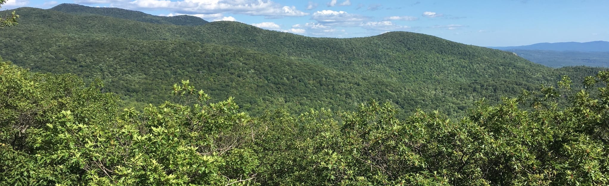 Mount Roberts and Mount Shaw via High Ridge and Oak Ridge, New ...