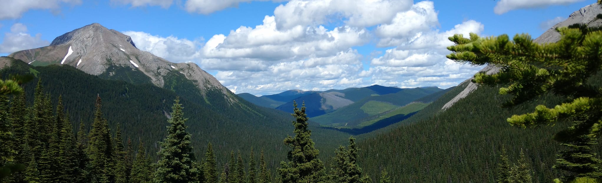 Windfall Lake: 94 Reviews, Map - British Columbia, Canada | AllTrails