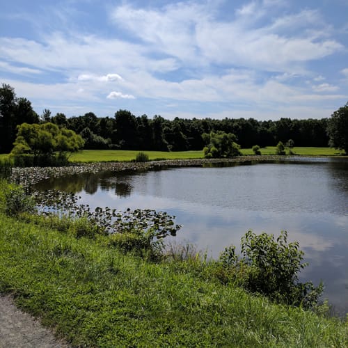 Best Hikes and Trails in Mercer Meadows | AllTrails