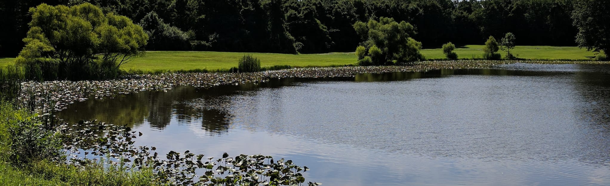 Lawrence Hopewell Trail: Mercer Meadows Segment | Map, Guide - New ...