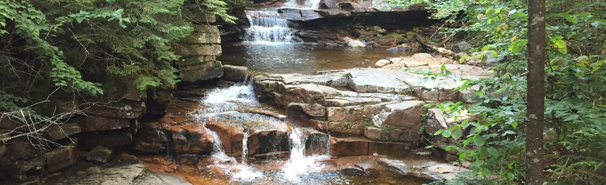 Arethusa Falls Via Bemis Brook and Arethusa Falls Trails: 2471 Reviews ...