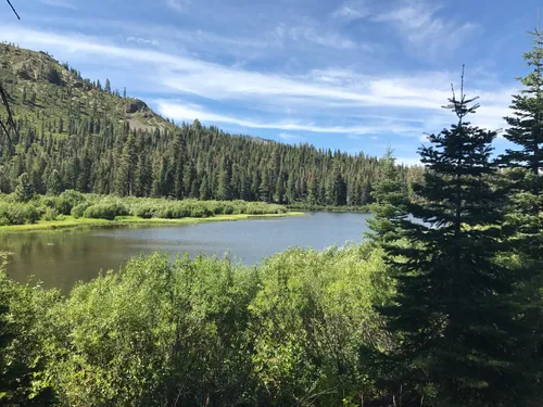 10 Best Trails and Hikes in Blairsden Graeagle | AllTrails