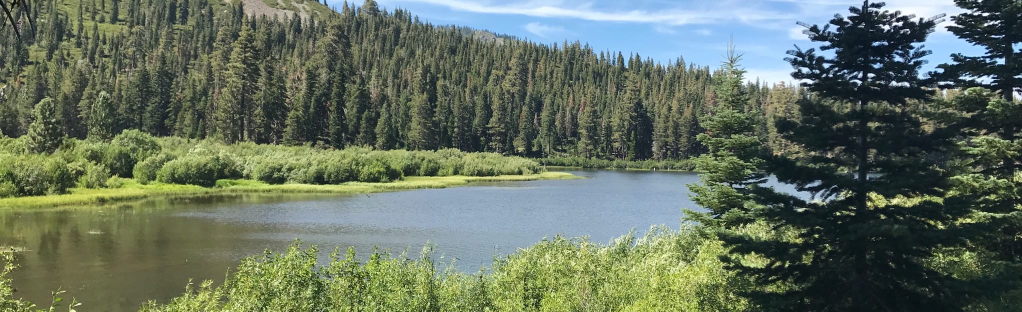 Grass Lake, California - 84 Reviews, Map | AllTrails