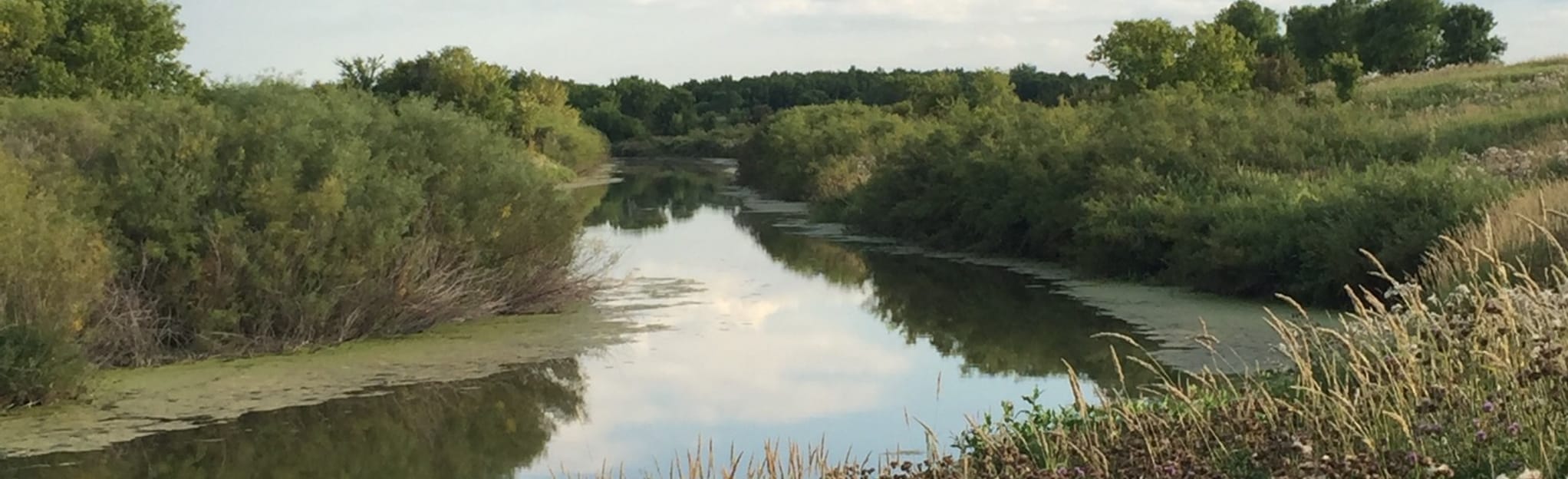 Rosenort River Trail: 20 Reviews, Map - Manitoba, Canada | AllTrails