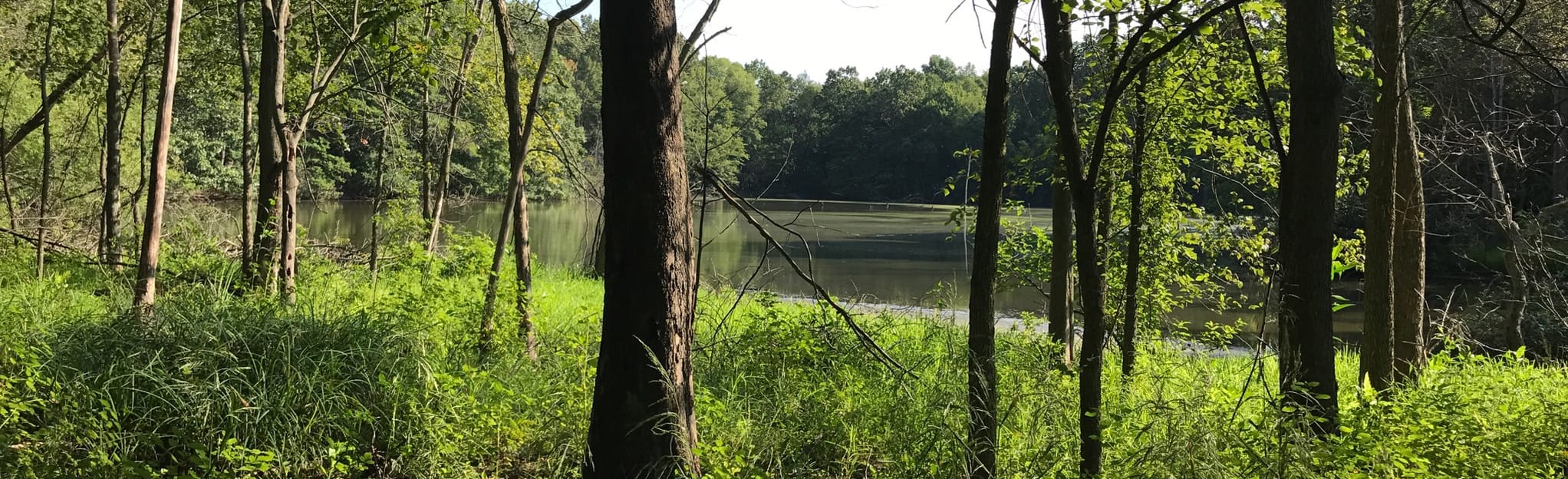 Spirit Springs Sanctuary, Michigan - 131 Reviews, Map | AllTrails