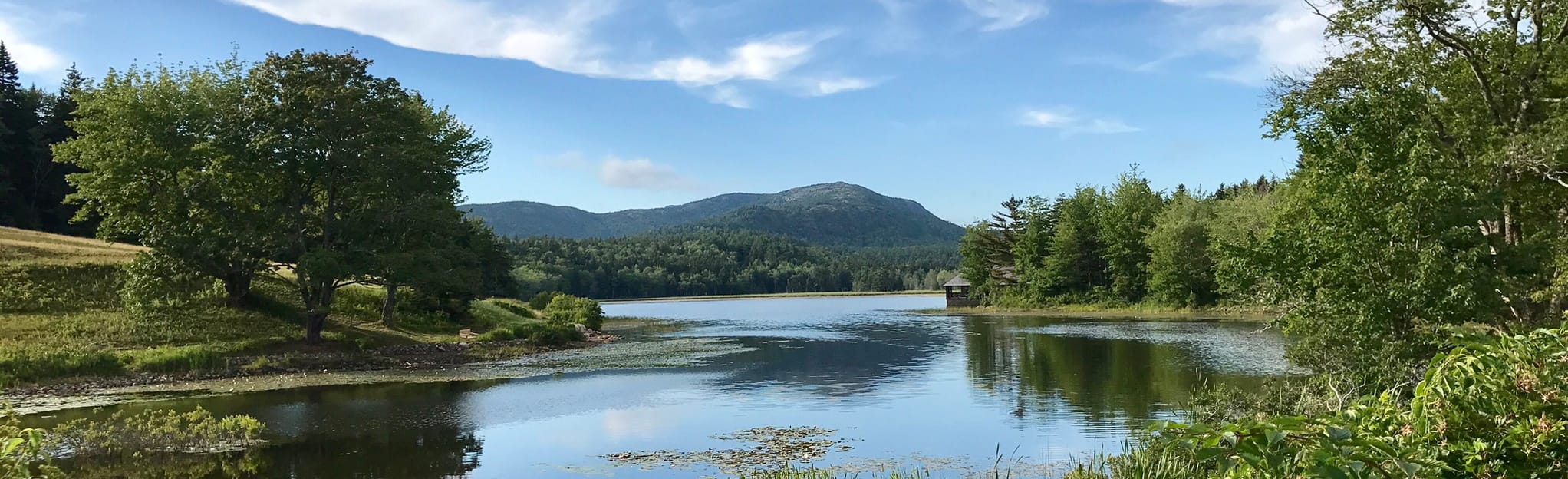Little Long Pond, Maine - 257 Reviews, Map | AllTrails