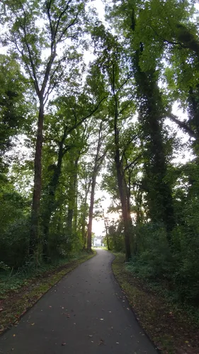 10 Best Trails and Hikes in Virginia Beach | AllTrails