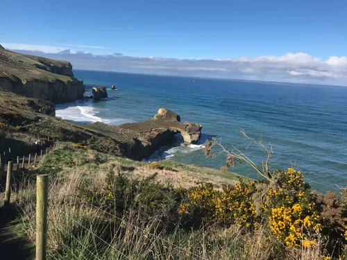 10 Best Walking Trails in Dunedin | AllTrails