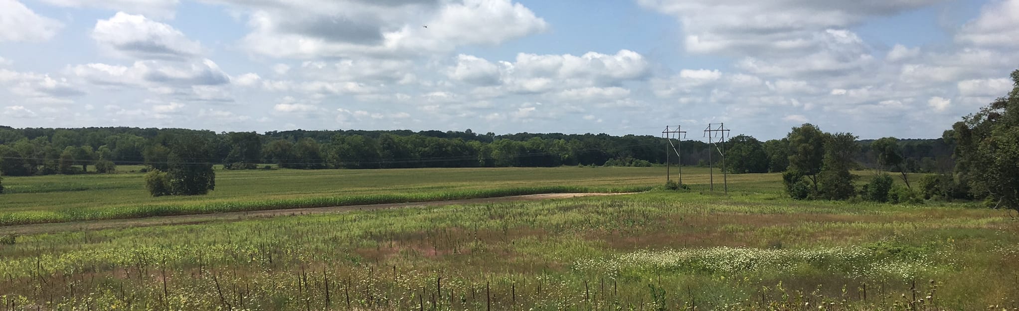 Sharon Mills County Park, Michigan - 56 Reviews, Map | AllTrails