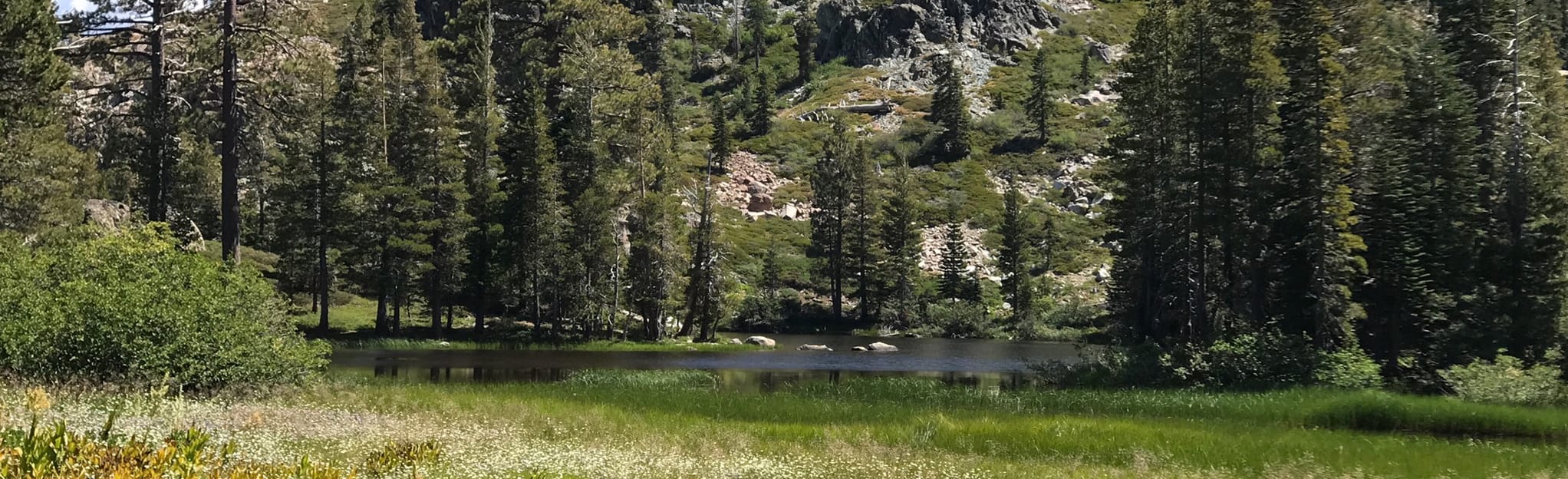 Tamarack Lakes Trail - California | AllTrails