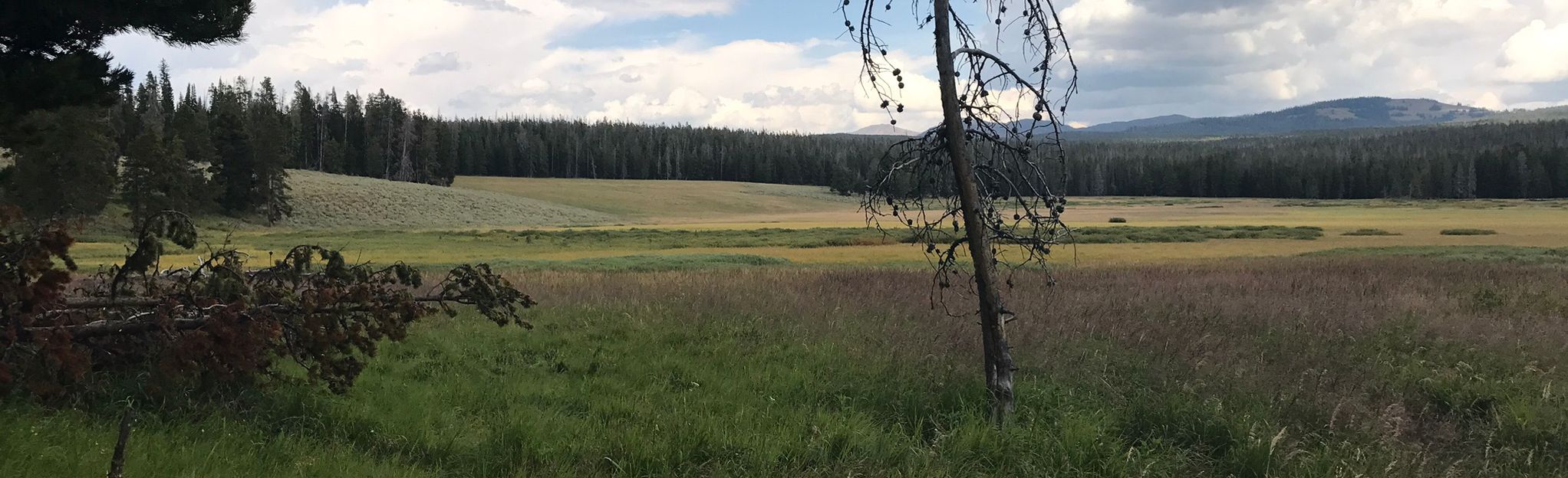 The Thorofare and South Boundary Trail: 39 Reviews, Map - Montana ...