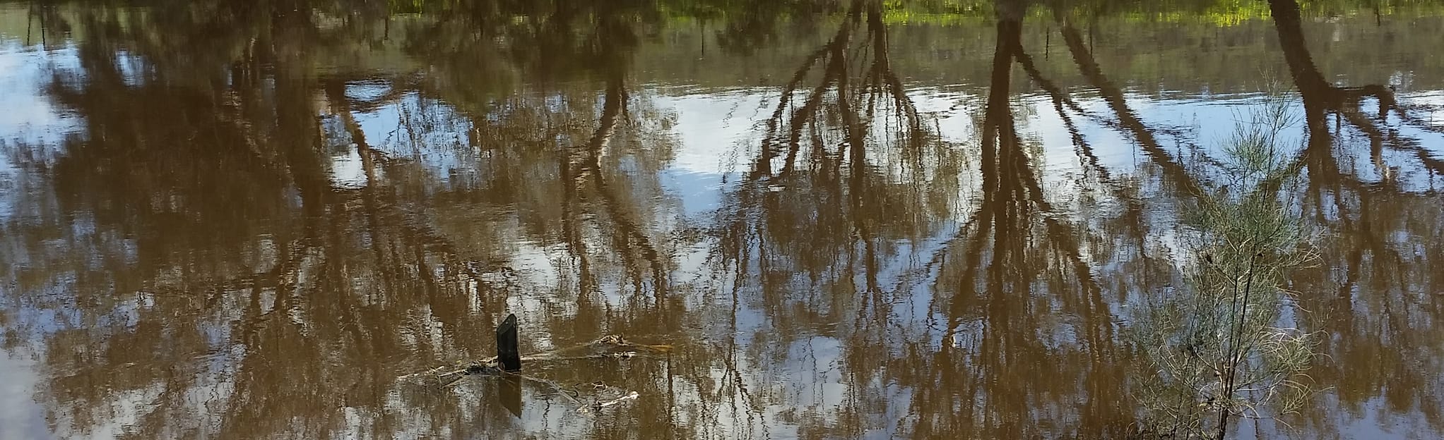 Dorntj Koorliny- Burlong Pool, Western Australia, Australia - 13 ...