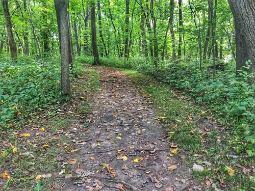 10 Best Trails and Hikes in Iowa | AllTrails