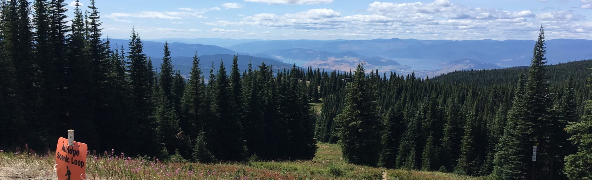 Silver Star Ridge Trail: 4 Reviews, Map - British Columbia, Canada ...