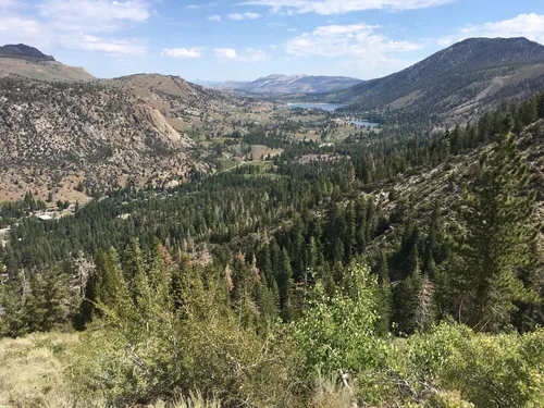 Best Hikes and Trails in Owens River Headwaters Wilderness | AllTrails