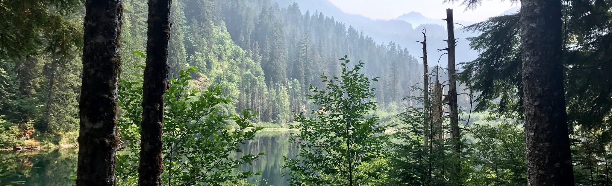 Malachite Lake via West Fork Foss Lakes Trail: 186 Reviews, Map ...