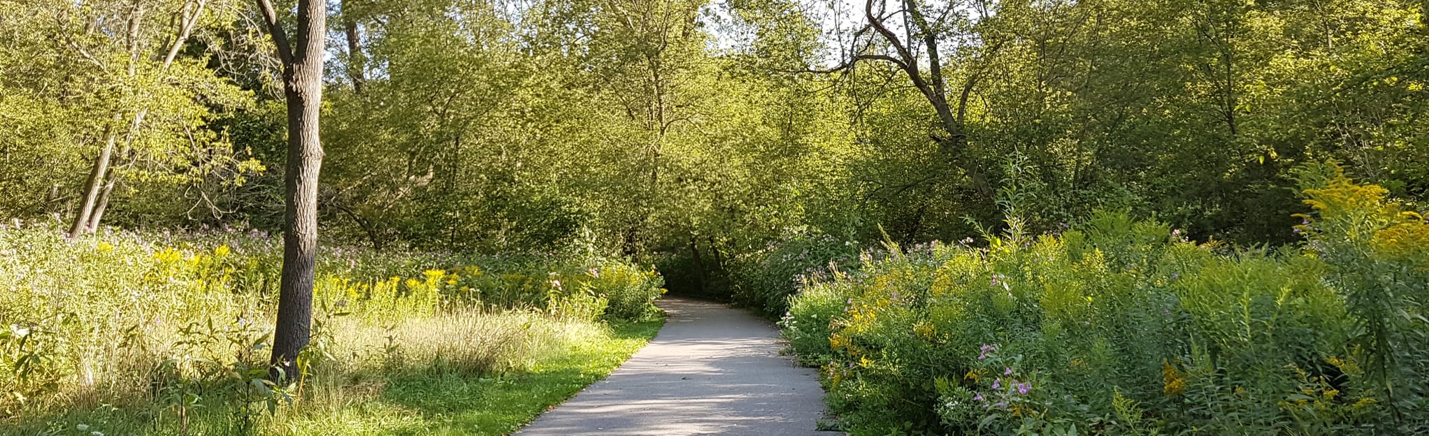 Soper Creek, Ontario, Canada - 48 Reviews, Map | AllTrails