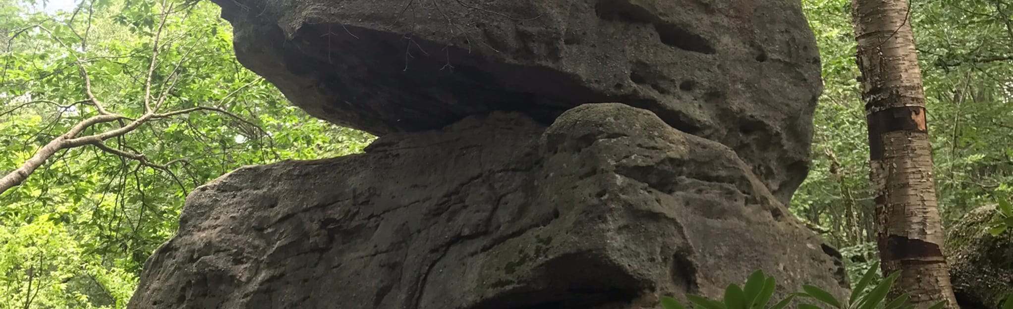 Balanced Rock via Balanced Rock Trail | Map, Guide - West Virginia ...