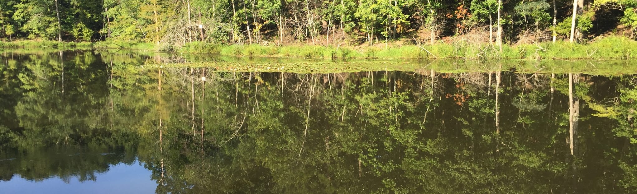 Line Creek Nature Area: 544 Reviews, Map - Georgia | AllTrails