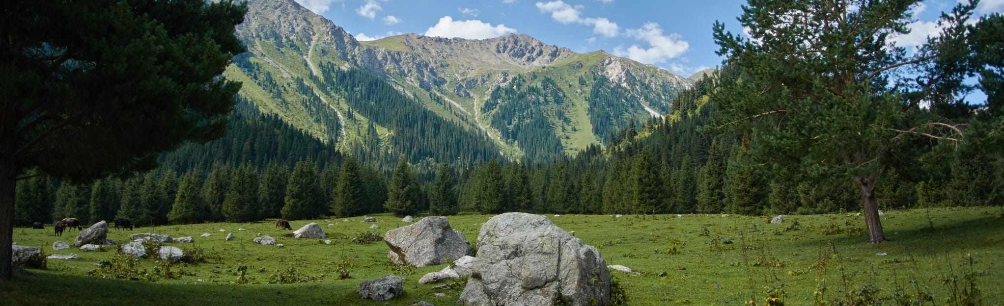 Bekin Baiserkeev Trail, Ysyk-Köl, Kyrgyzstan - 6 Reviews, Map | AllTrails