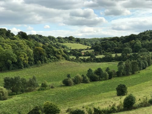10 Best Moderate Trails in Kent Downs National Landscape (AONB) | AllTrails