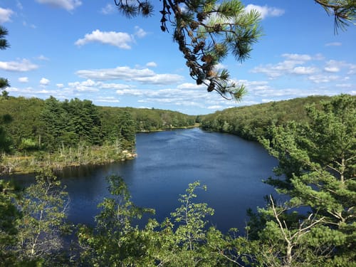 2023 Best 10 Trails and Hikes in Rhode Island | AllTrails