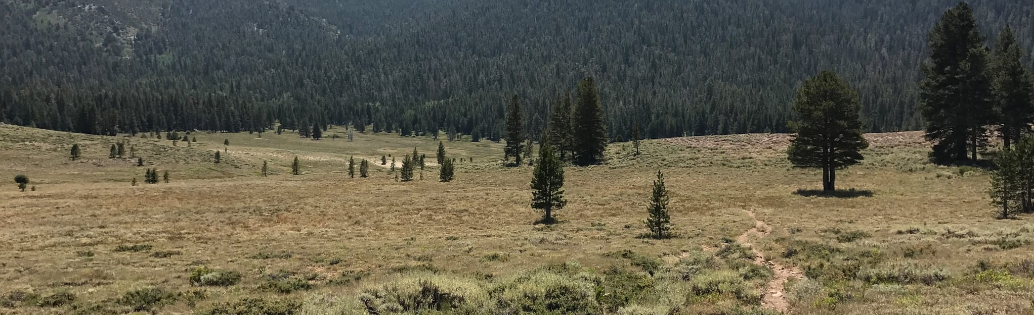 Corral Valley Trail, California - 10 Reviews, Map | AllTrails