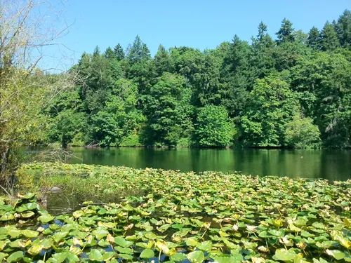 10 Best Trails and Hikes in Kent | AllTrails