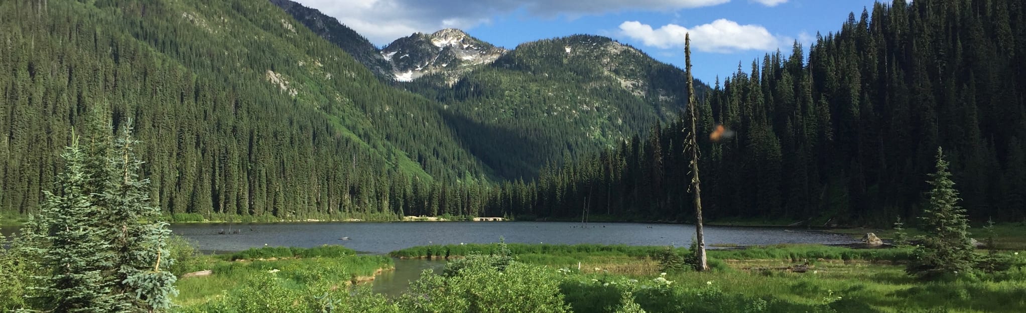 Gibson Lake Loop: 24 Reviews, Map - British Columbia, Canada | AllTrails