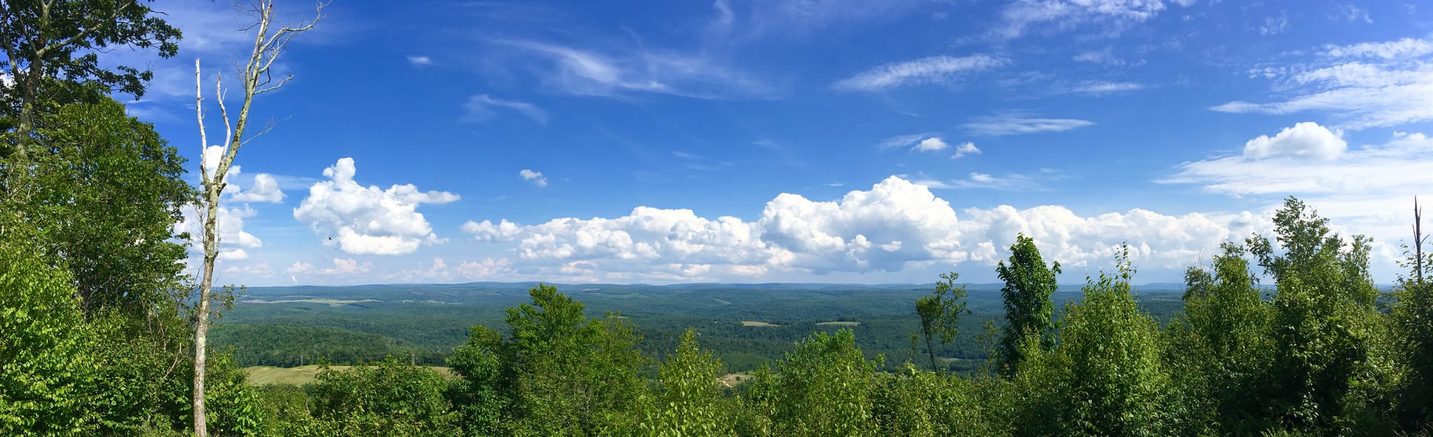 Hoye Crest (Backbone Mountain): 424 Reviews, Map - West Virginia ...