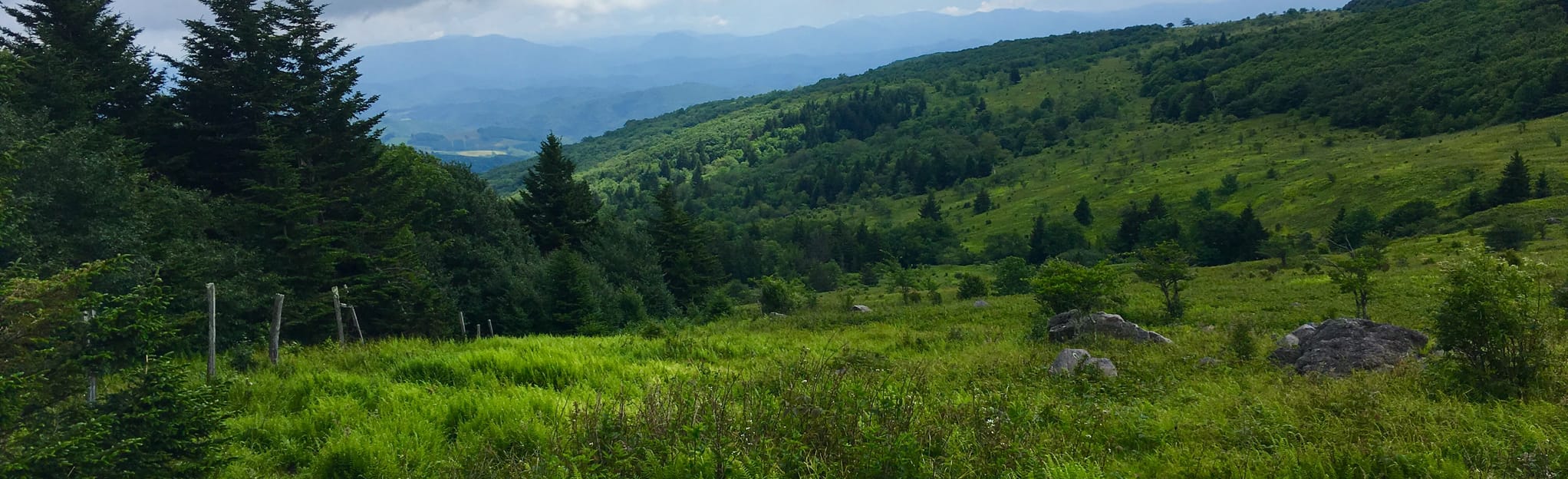 Mount Rogers via Appalachian Trail: 393 Reviews, Map - Virginia | AllTrails