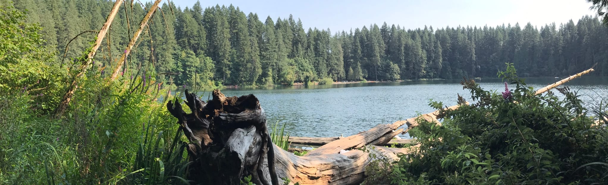 Battle Ground Lake Loop Trail, Washington - 893 Reviews, Map | AllTrails