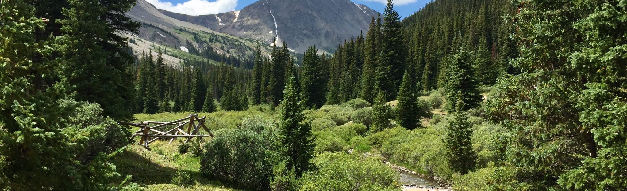 Grizzly Gulch Trail, Colorado - 416 Reviews, Map | AllTrails