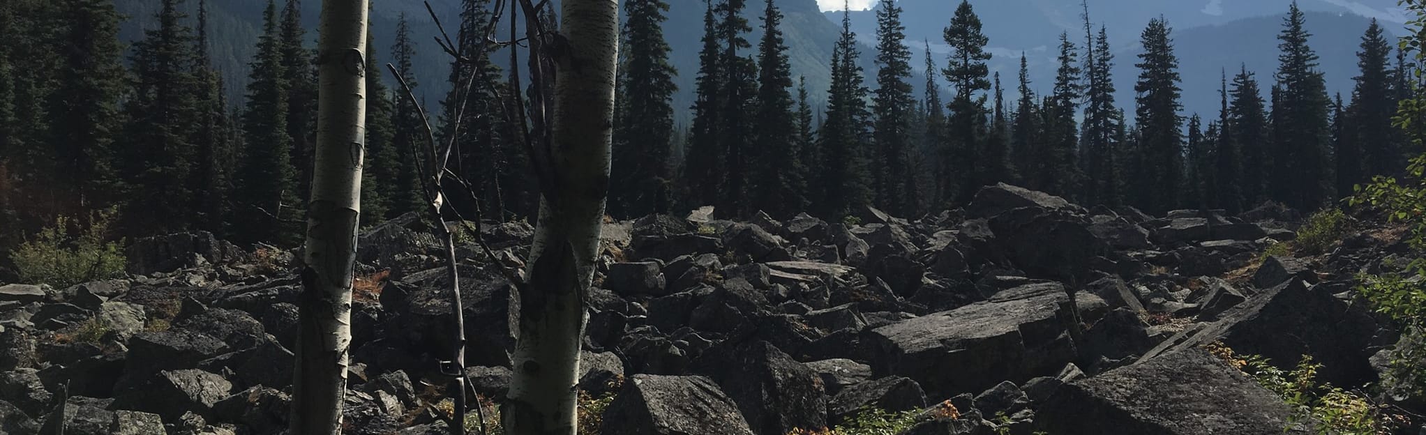 Lake Janet: 3 Reviews, Map - Montana | AllTrails