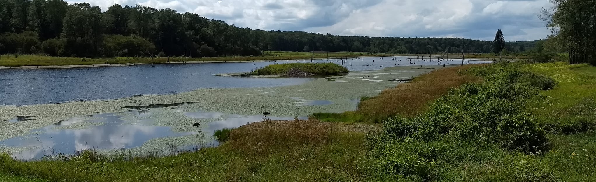 Buzzard Swamp Loop Trail, Pennsylvania - 65 Reviews, Map | AllTrails