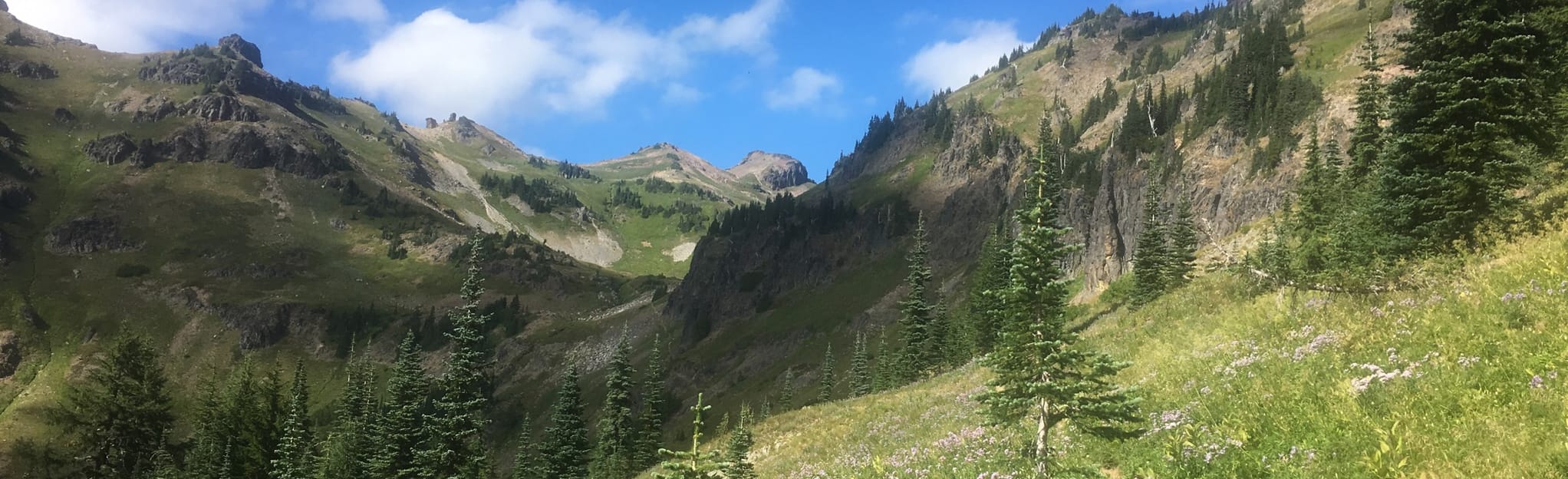 Snowgrass Flats and Goat Lake Loop Trail: 1.888 Fotos - Washington ...