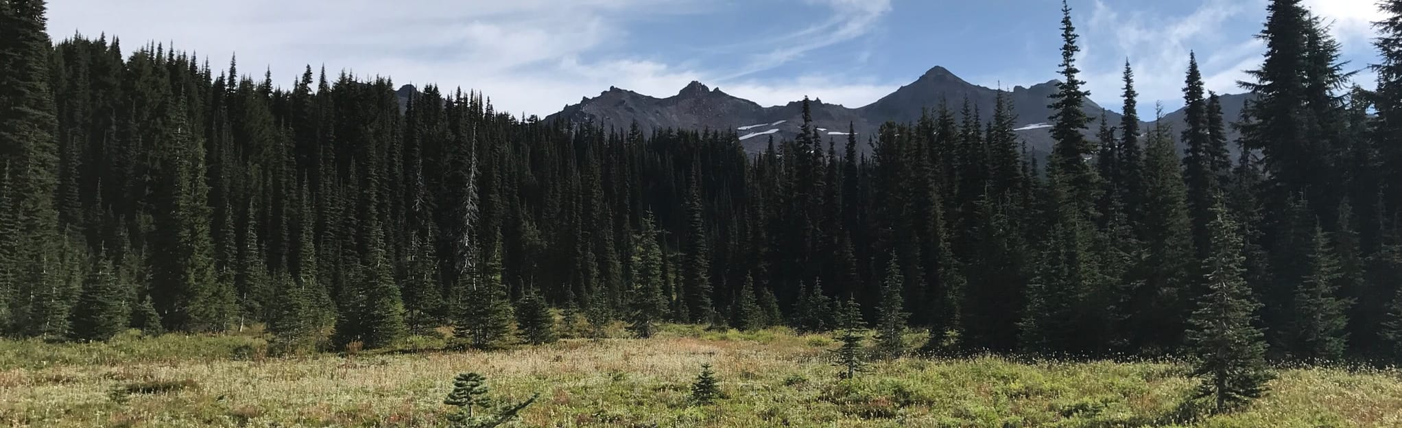 Snowgrass Flats and Goat Lake Loop Trail: 800 Reviews, Map - Washington ...