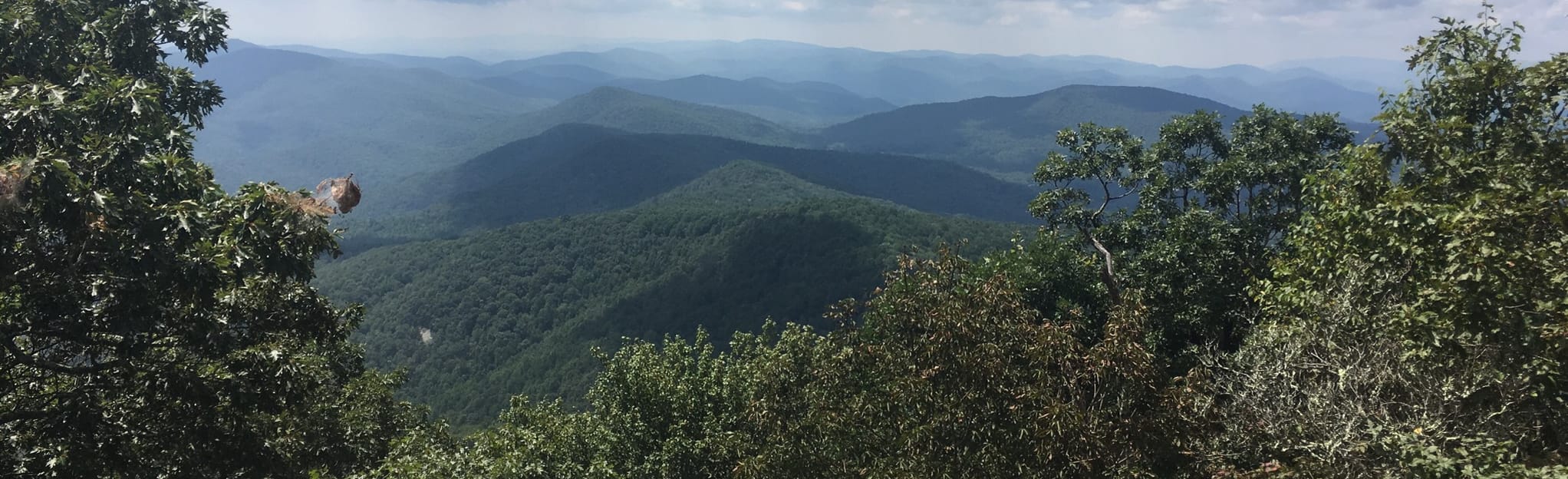 Neels Gap to Slaughter Mountain: 62 Reviews, Map - Georgia | AllTrails