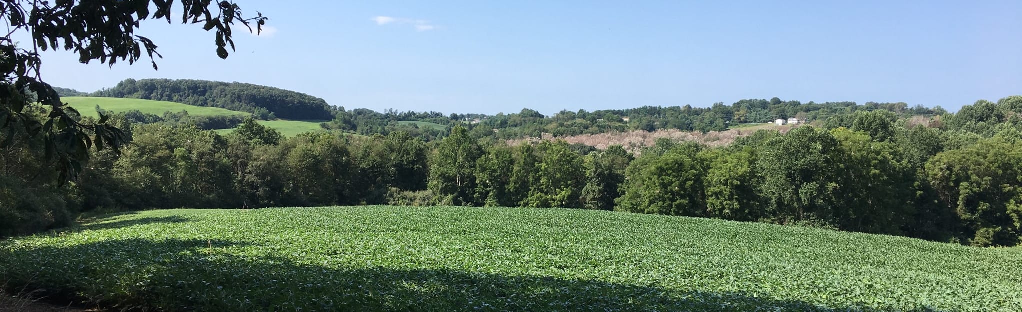 Hashawha Loop Trail, Maryland - 922 Reviews, Map | AllTrails