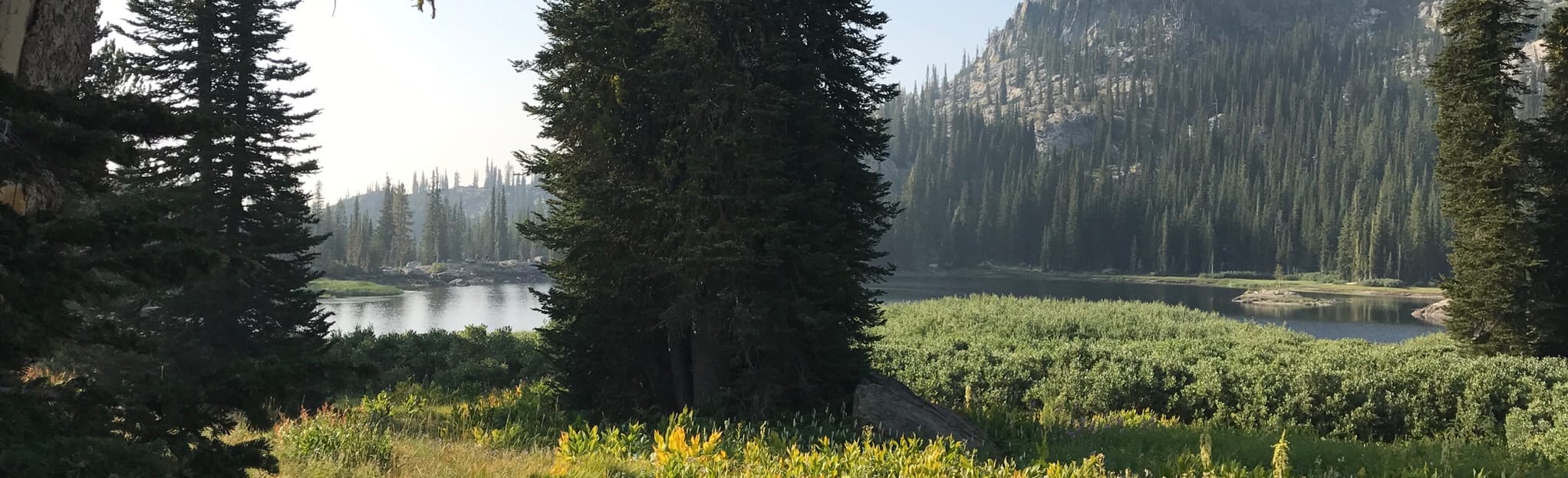 Blue Lake Trail - Idaho | AllTrails