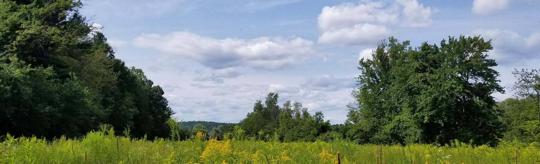 Two Brothers Trail and Wilderness Road Loop, Massachusetts - 53 Reviews ...