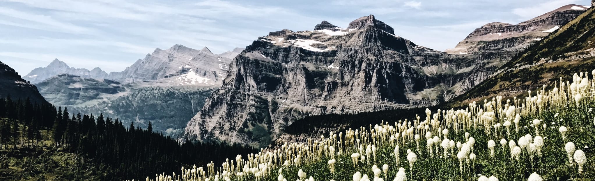 Goat Haunt Ferry via Boulder Pass and Waterton Lake Trail: 26 Reviews ...